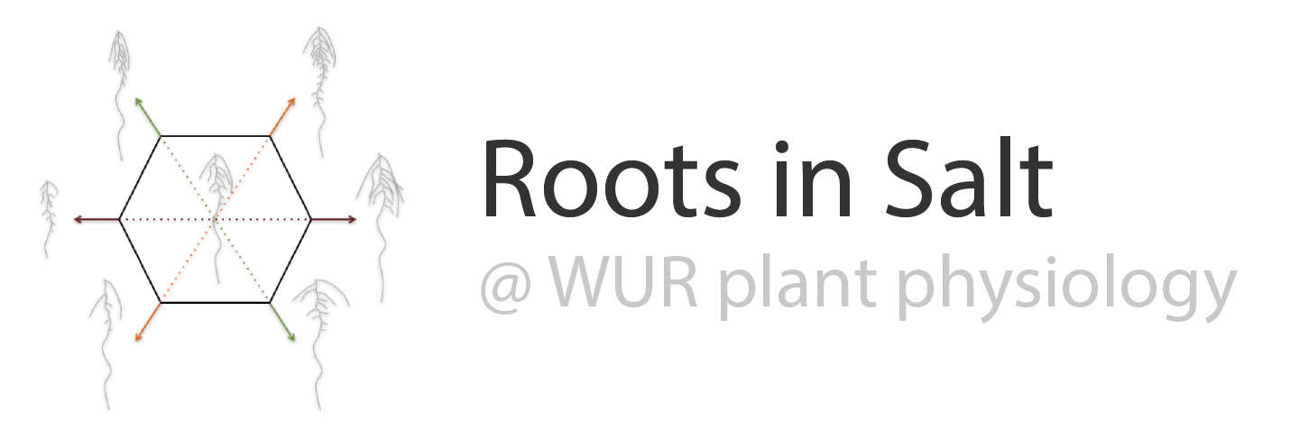 Roots in Salt – @WUR Plant Physiology