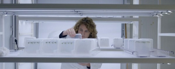 ‘Grote Vragen’ of Christa Testerink – Roots in Salt
