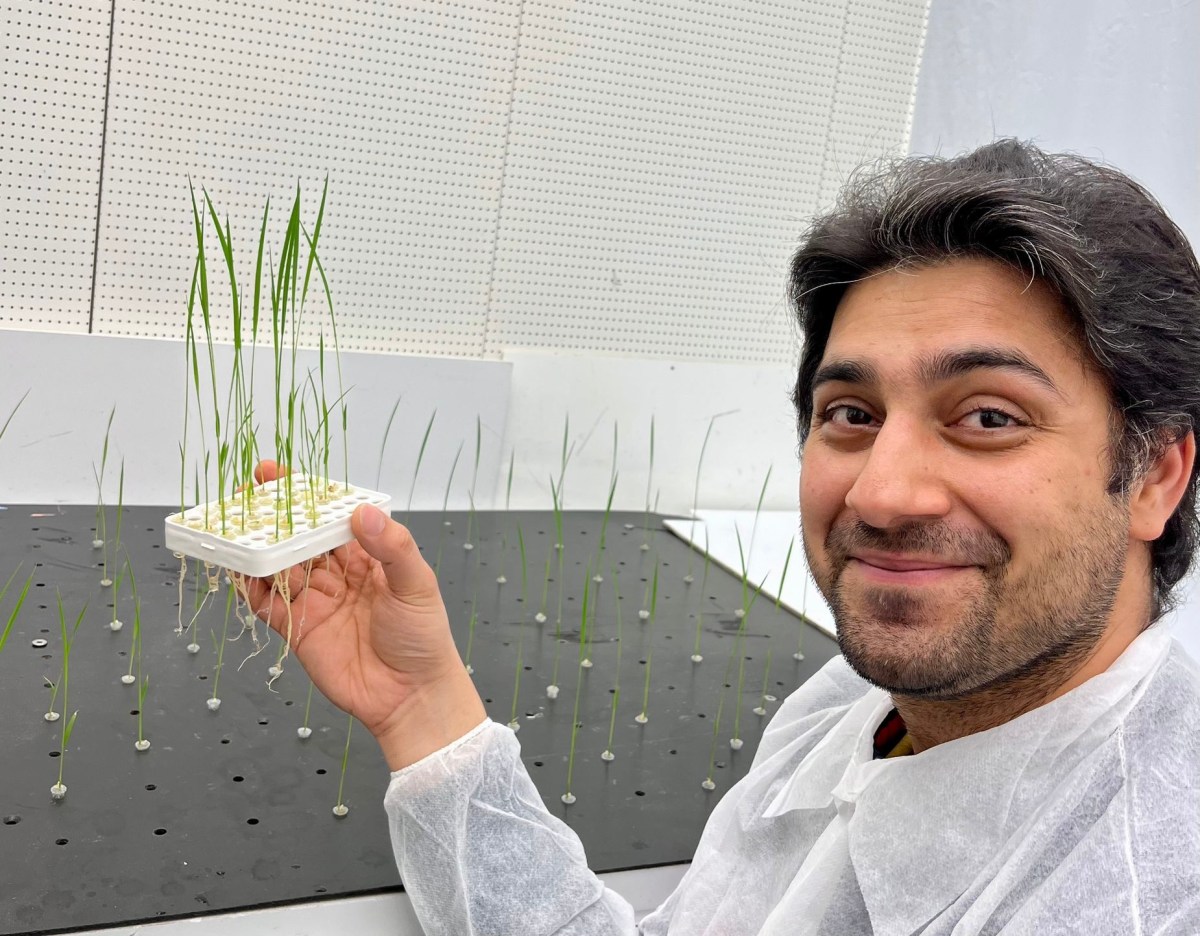 Parvinderdeep S. Kahlon (Post-Doc) – Roots in Salt